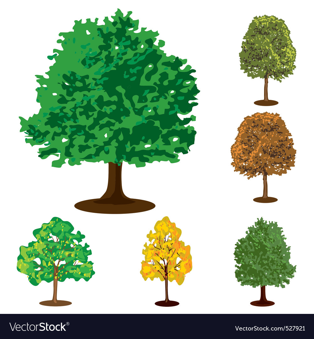 Collection of isolated trees Royalty Free Vector Image
