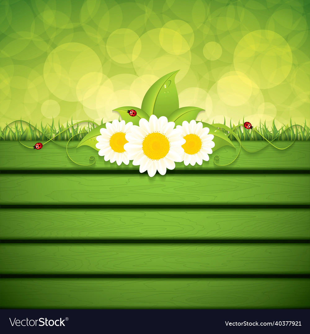 Green eco frame Royalty Free Vector Image - VectorStock