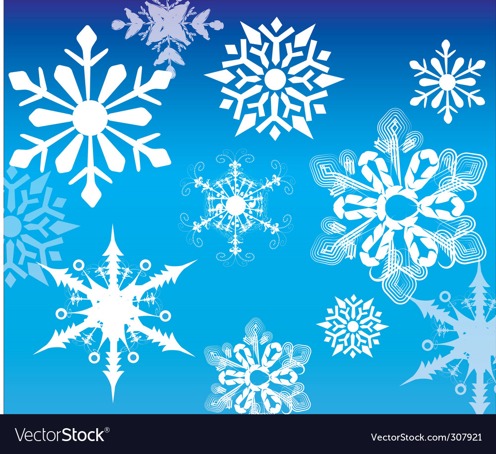 Snowflake set Royalty Free Vector Image - VectorStock