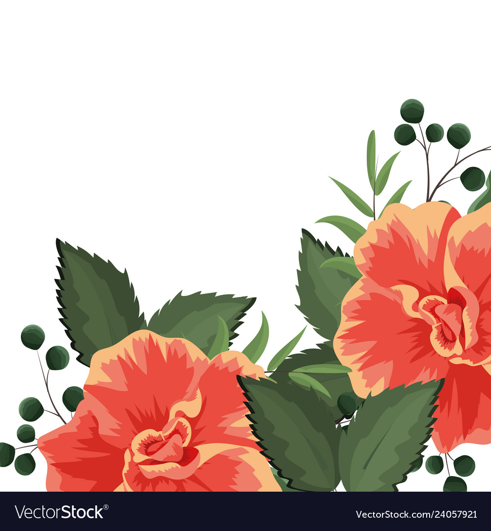 Spring floral frame Royalty Free Vector Image - VectorStock