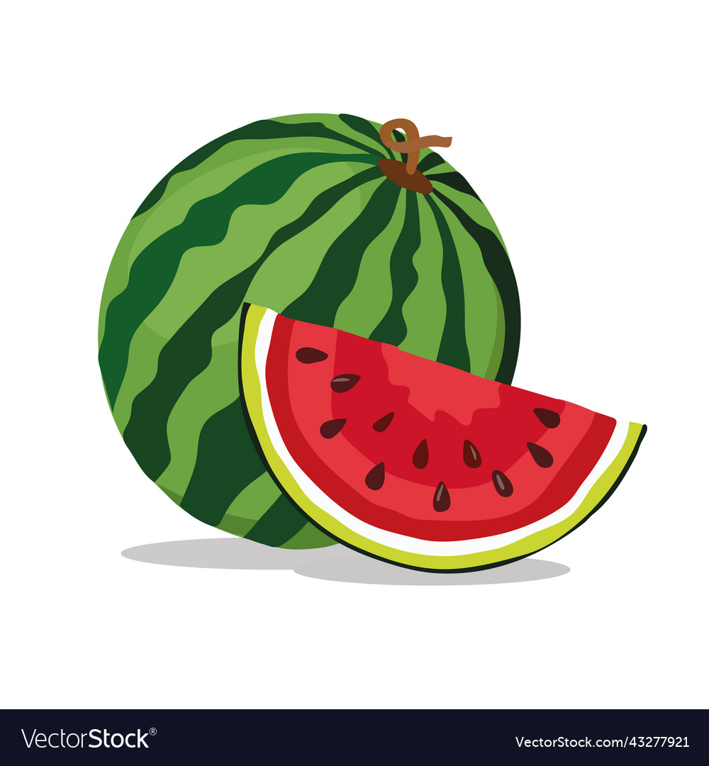Watermelon Royalty Free Vector Image - VectorStock