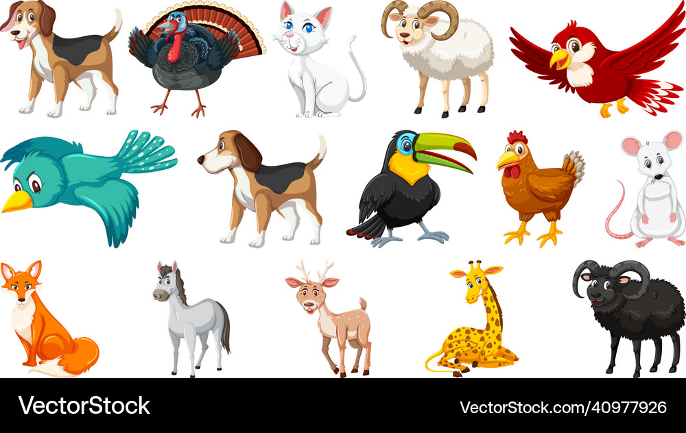 Set of isolated various animals Royalty Free Vector Image
