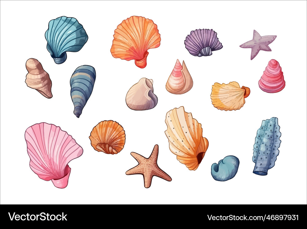 Marine seashells isolated on background cartoon Vector Image