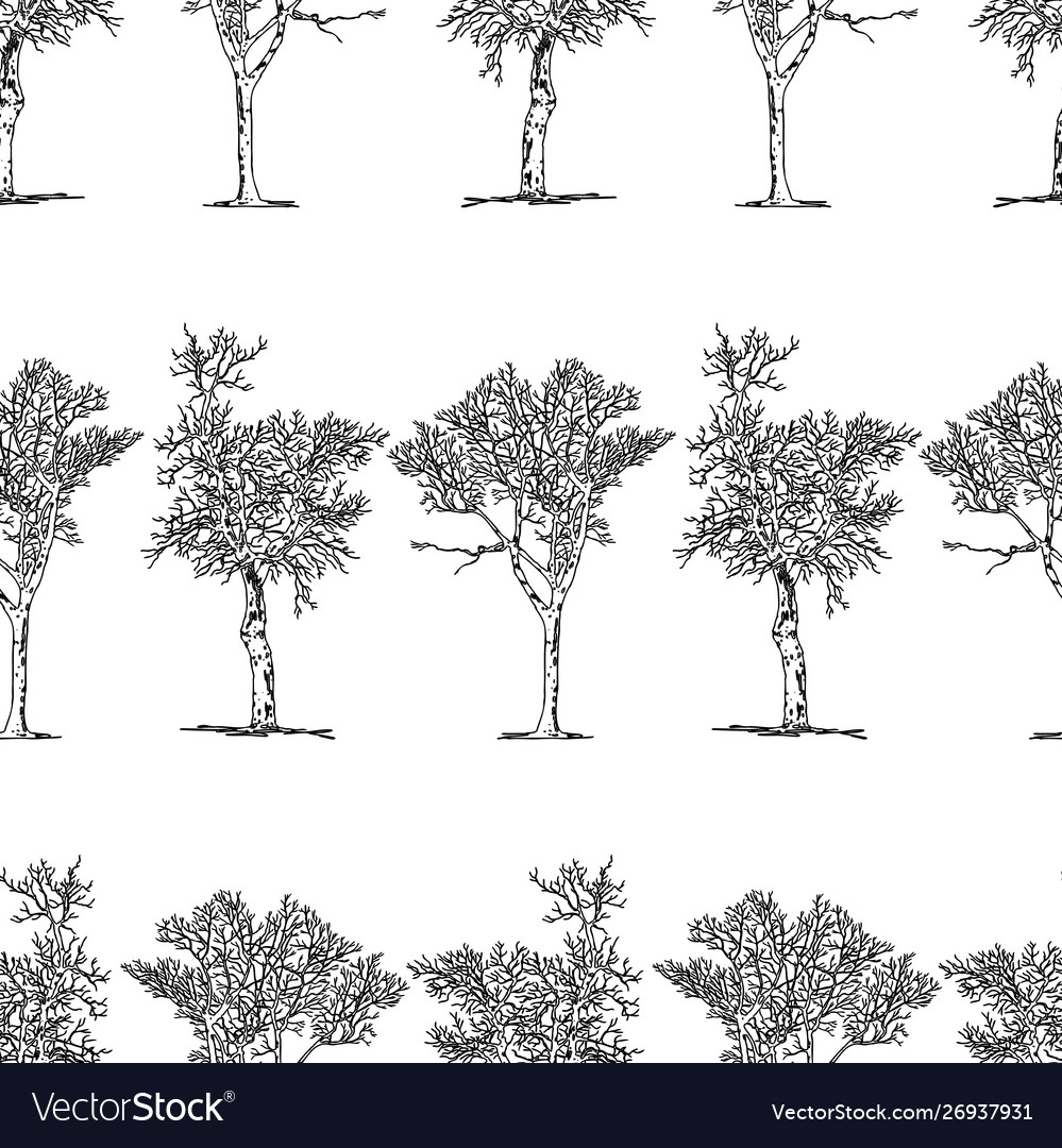 Seamless background drawn trees Royalty Free Vector Image