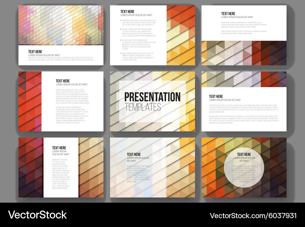 Set of 9 templates for presentation slides Vector Image