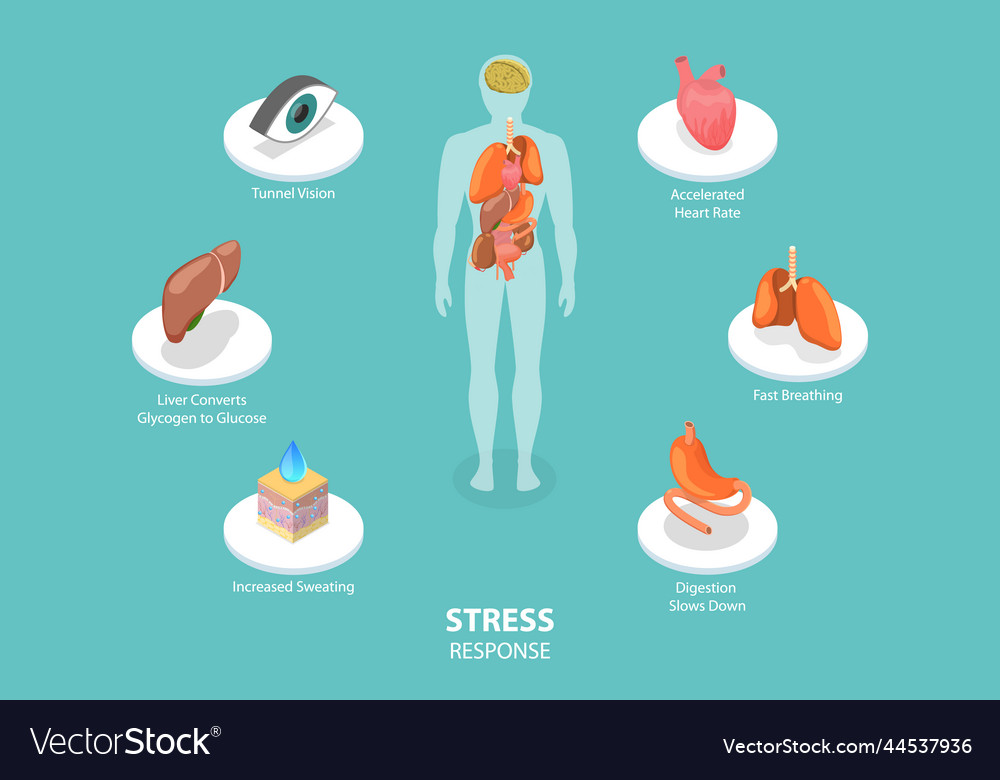 3d isometric flat conceptual Royalty Free Vector Image