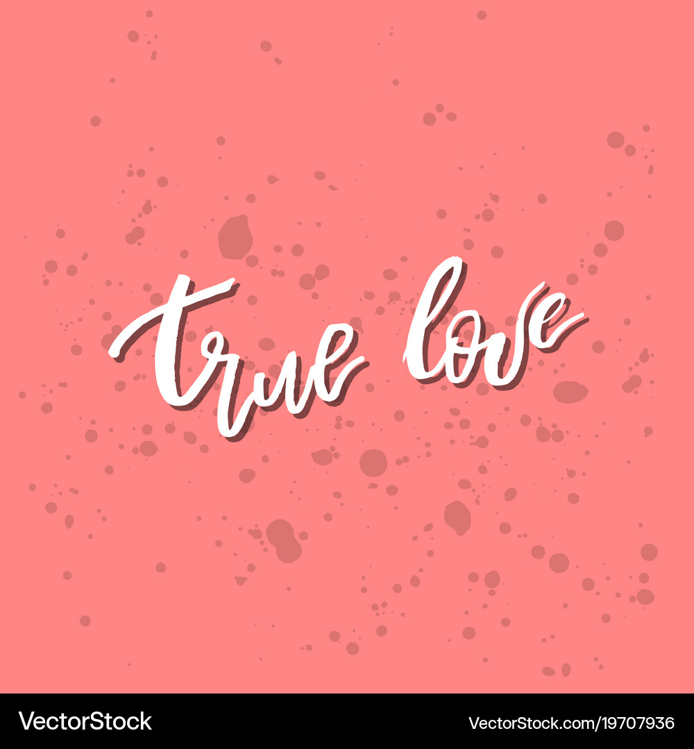 True love - inspirational valentines day romantic Vector Image