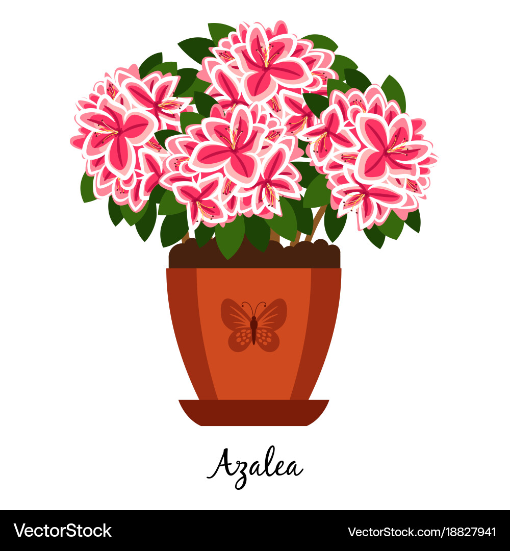 Azalea plant in pot icon Royalty Free Vector Image