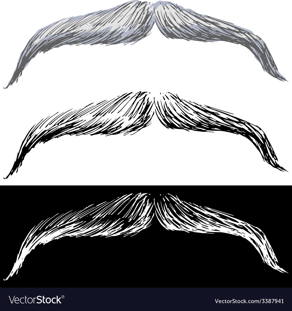 Moustache Royalty Free Vector Image - VectorStock