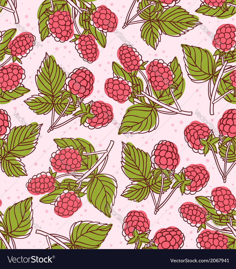 Raspberry pattern Royalty Free Vector Image - VectorStock
