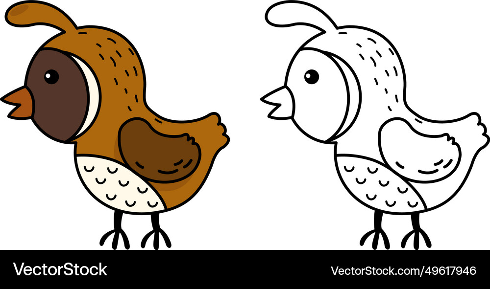 Colorful cartoon character quail Royalty Free Vector Image