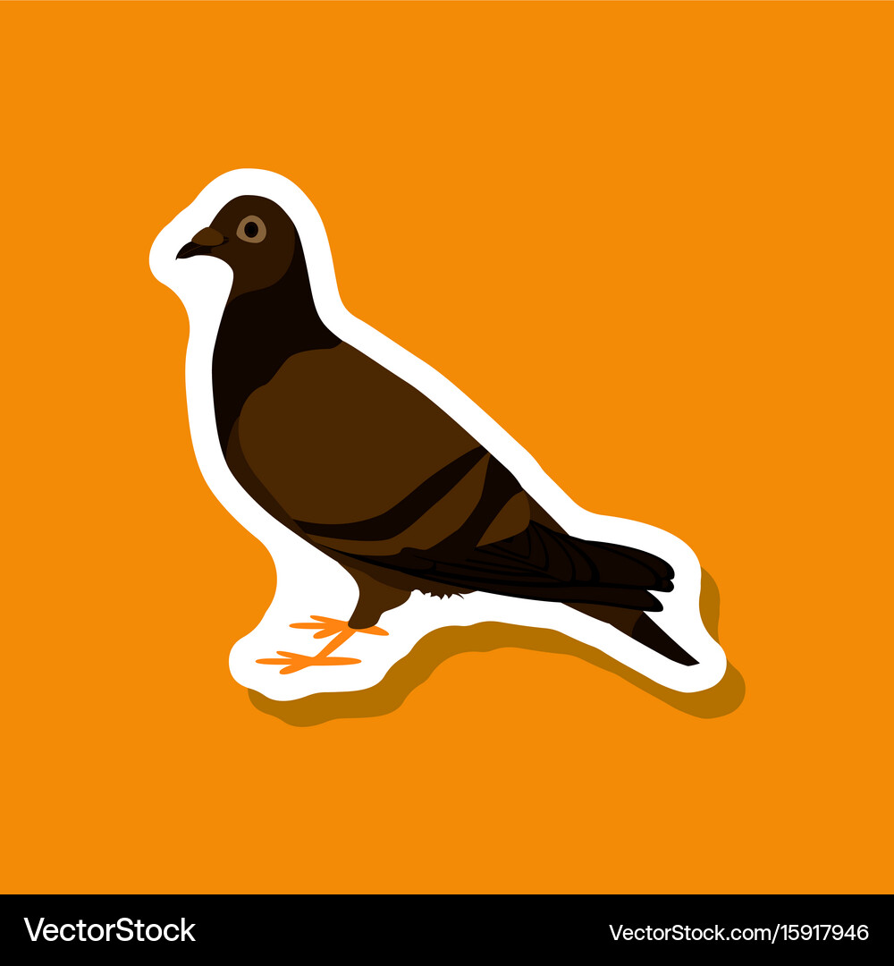 Dove paper sticker on stylish background Vector Image