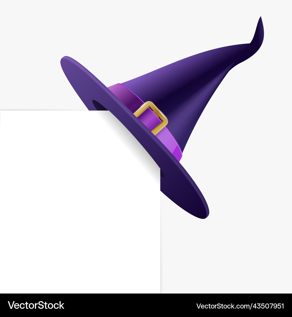 Realistic detailed 3d witch and wizards hat Vector Image