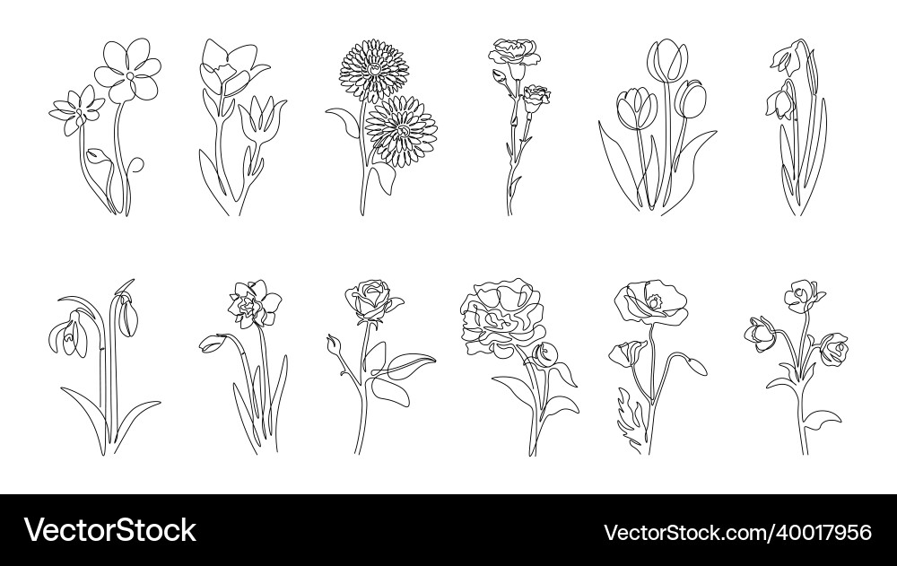 Line flowers abstract continuous outline floral Vector Image