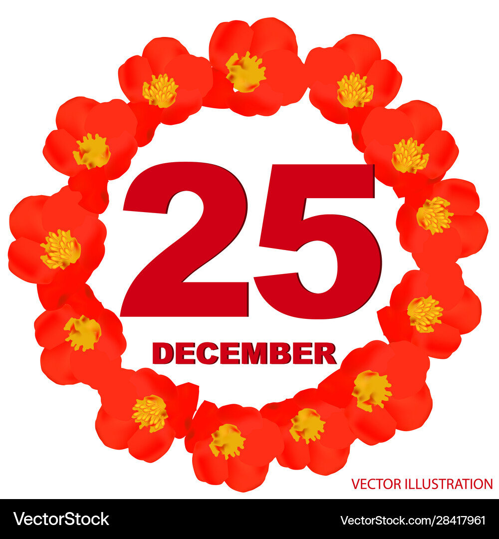December 25 icon for planning important day Vector Image
