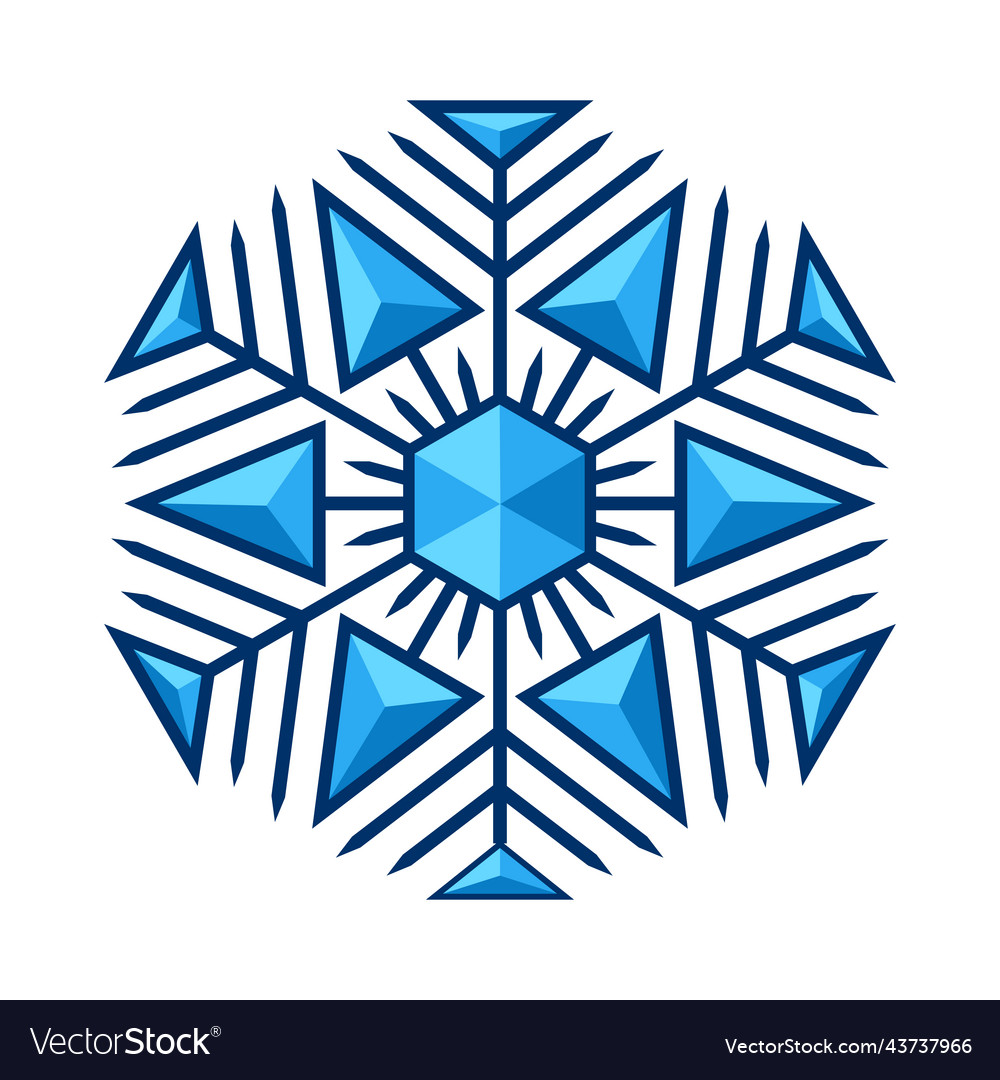 Snowflake winter decoration Royalty Free Vector Image