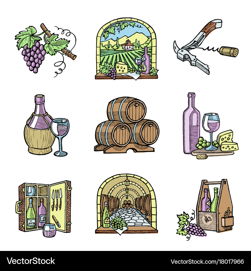 Wine production cellar winery viticulture winey Vector Image