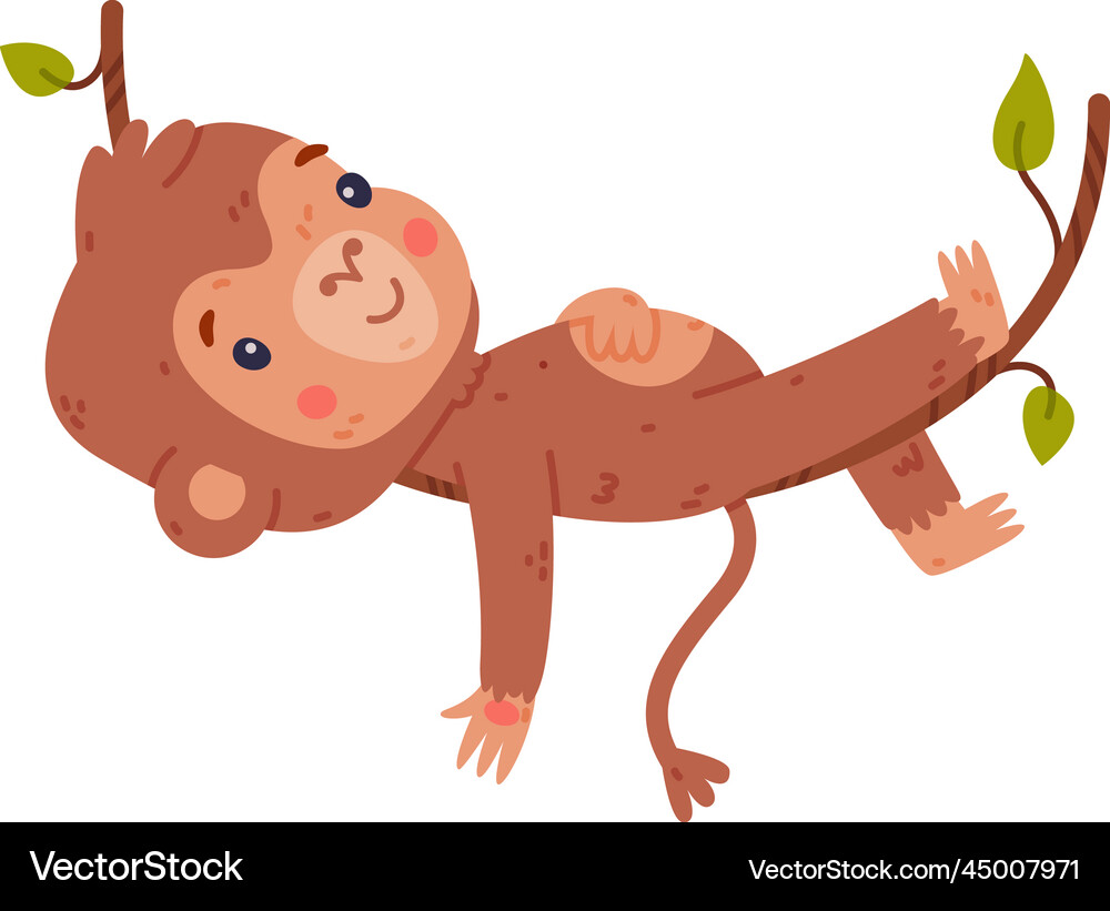 Funny cute baby monkey lying on vine african Vector Image