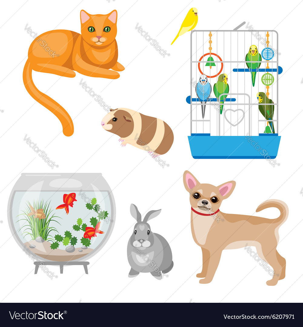 Pets set Royalty Free Vector Image - VectorStock