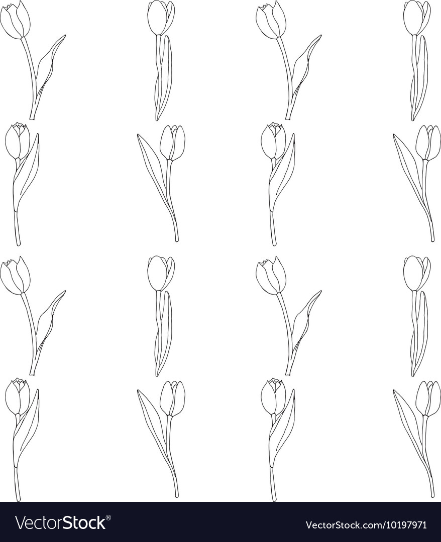 Seamless pattern tulips Royalty Free Vector Image