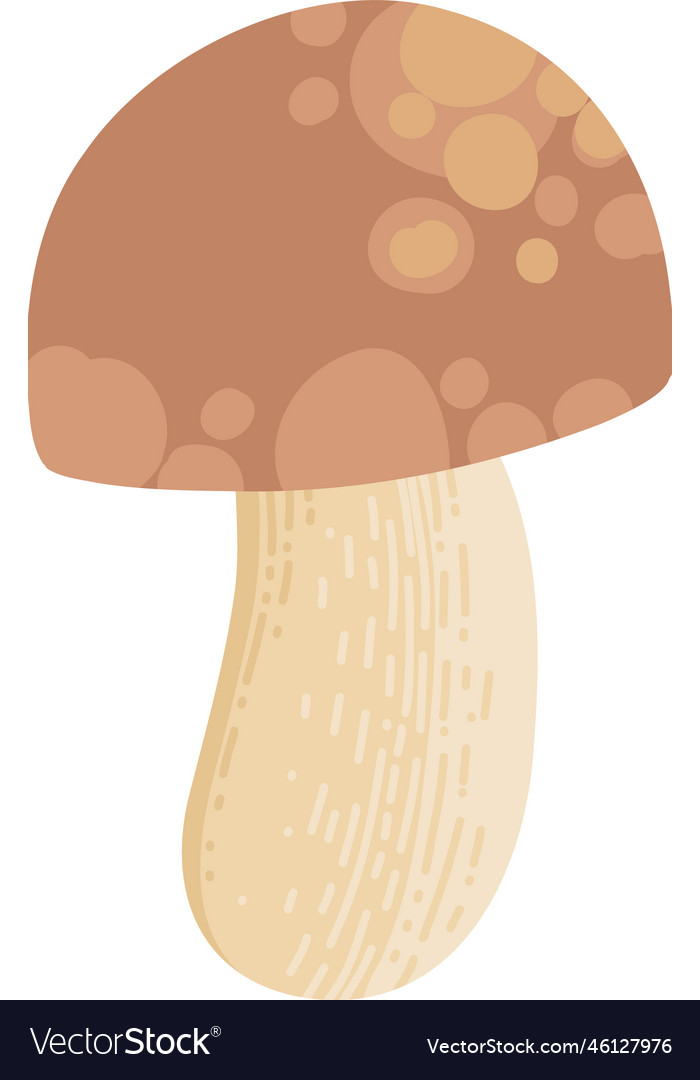 Asian shiitake mushroom or fungi raw forest Vector Image