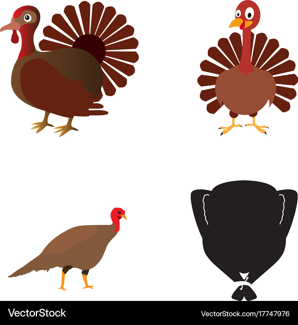 Set of turkey icons Royalty Free Vector Image - VectorStock