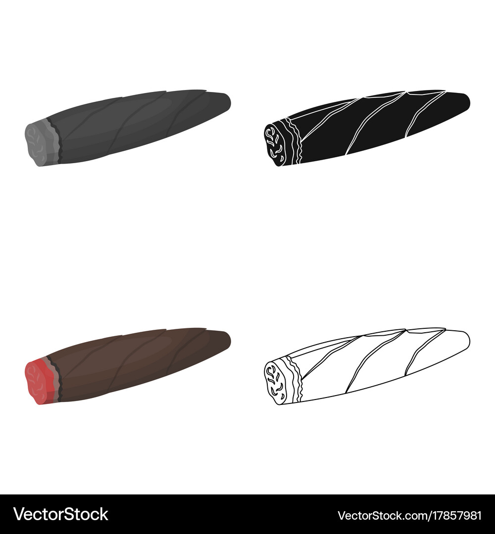 Cigar twisted tobacco leaf smoldering Royalty Free Vector