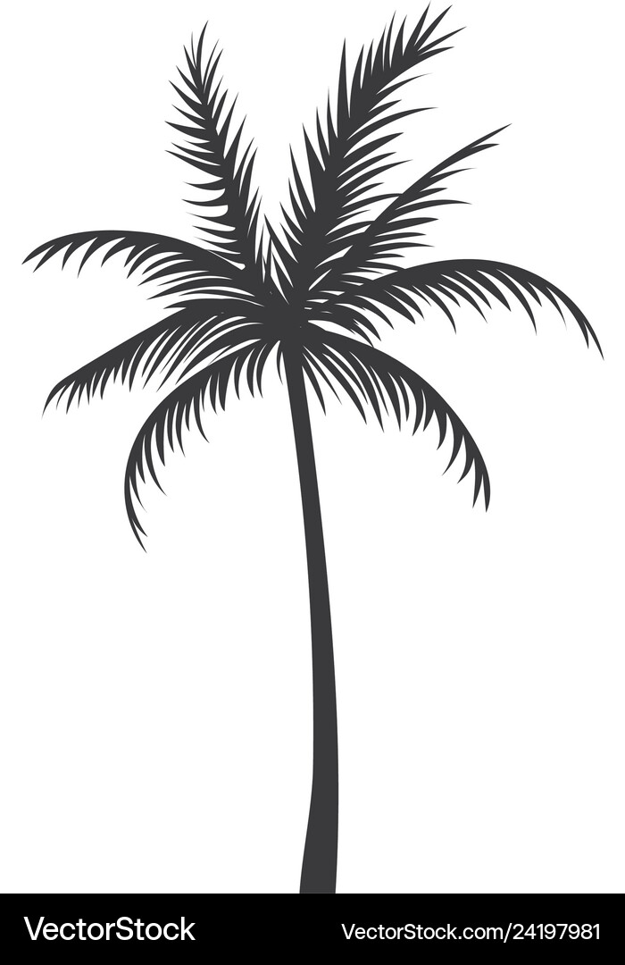 Palm icon isolated Royalty Free Vector Image - VectorStock