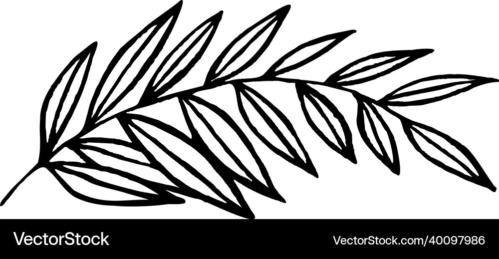 Leaf Contour Drawing Leaves, Henri Matisse | Mia