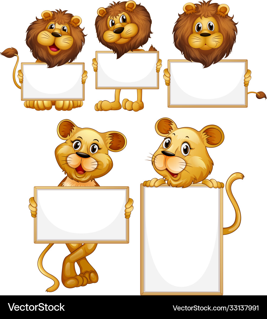 Blank sign template with many lions on white Vector Image