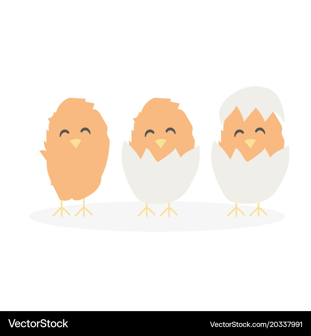 Cartoon cute easter baby chickens hatched from egg