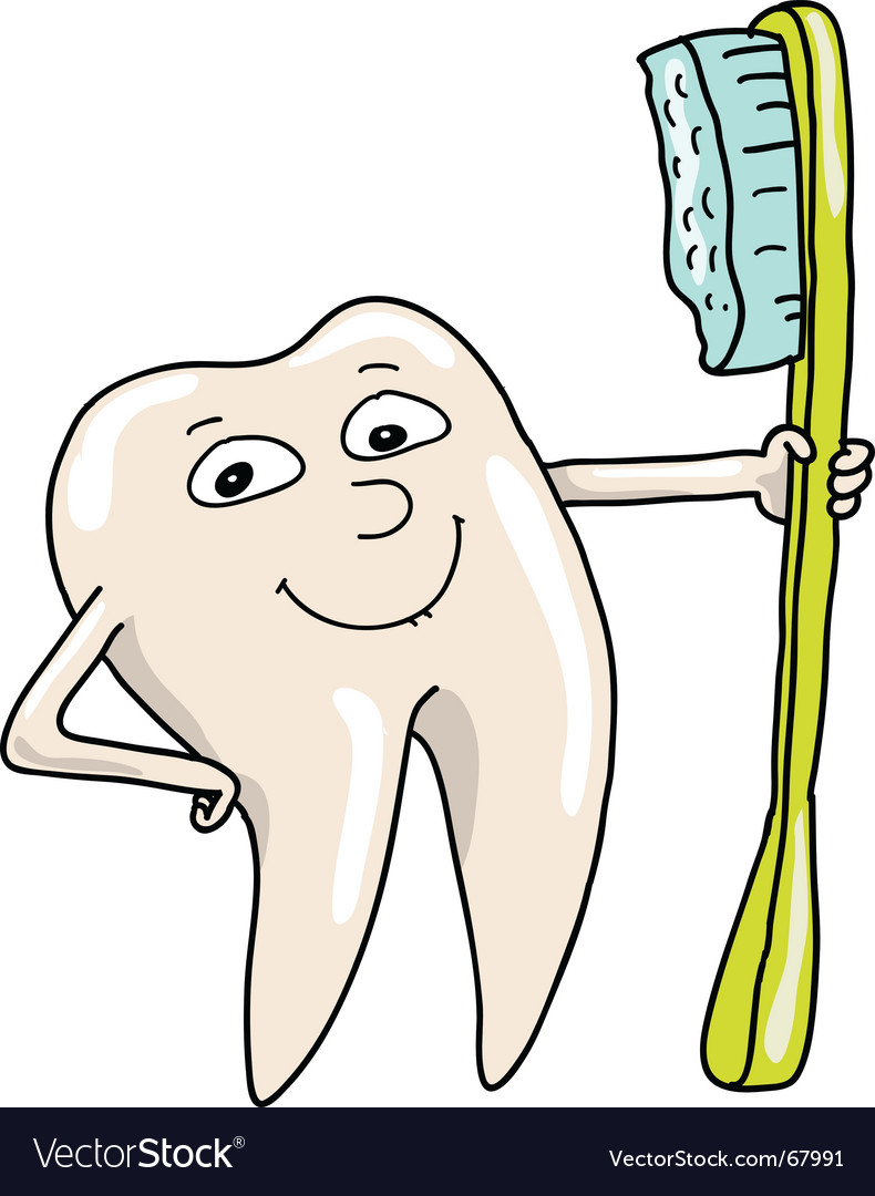 Clean teeth Royalty Free Vector Image - VectorStock