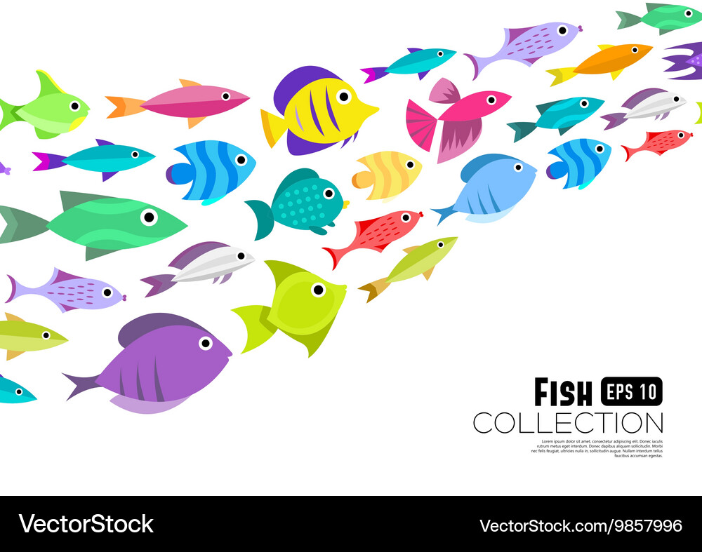 Cartoon fish collection background Royalty Free Vector Image