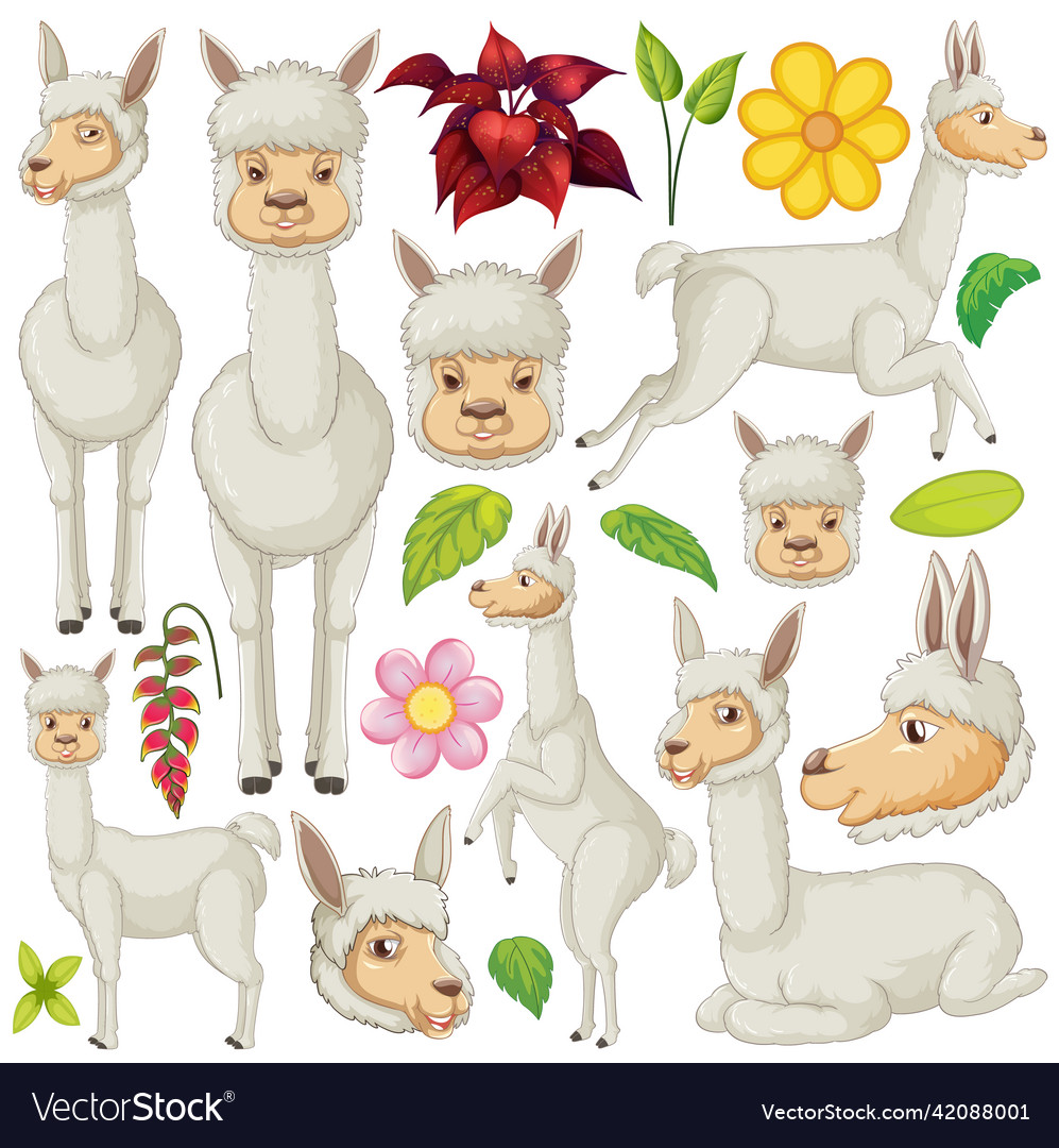 Seamless pattern with cute alpacas Royalty Free Vector Image