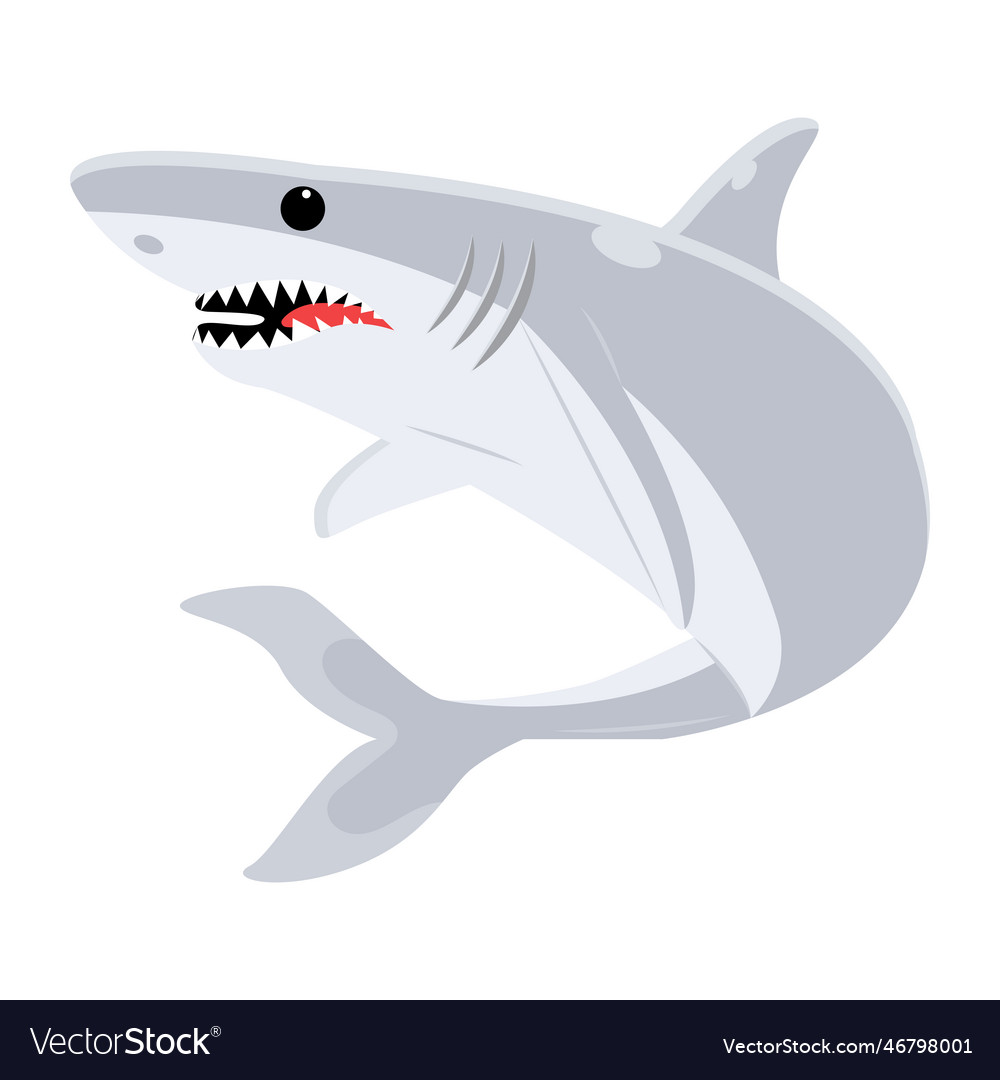 Selachimorpha Royalty Free Vector Image - VectorStock