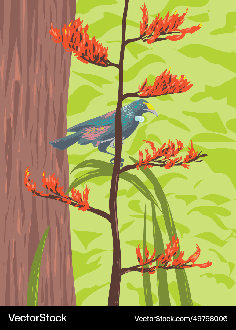 Chatham island tui bird native perching on new Vector Image