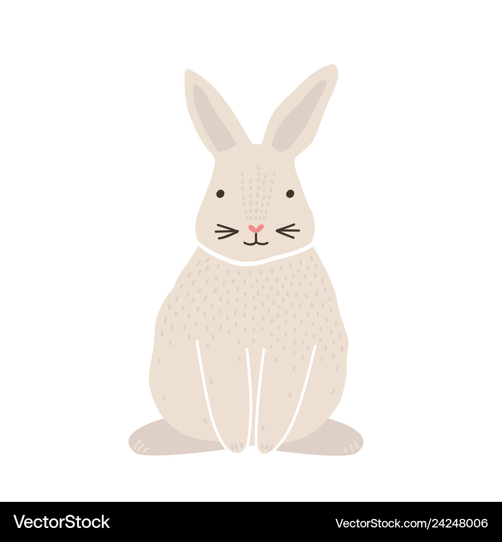 Cute lovely pretty white bunny rabbit or hare Vector Image
