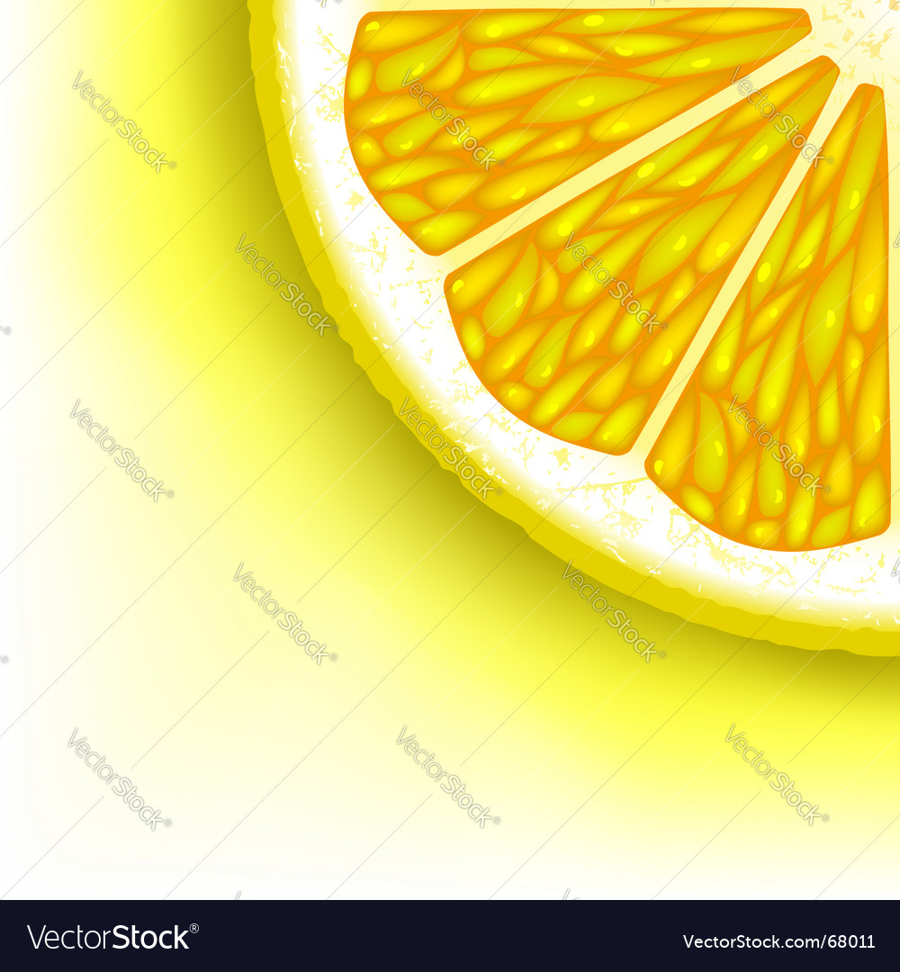 Lemon slice Royalty Free Vector Image - VectorStock