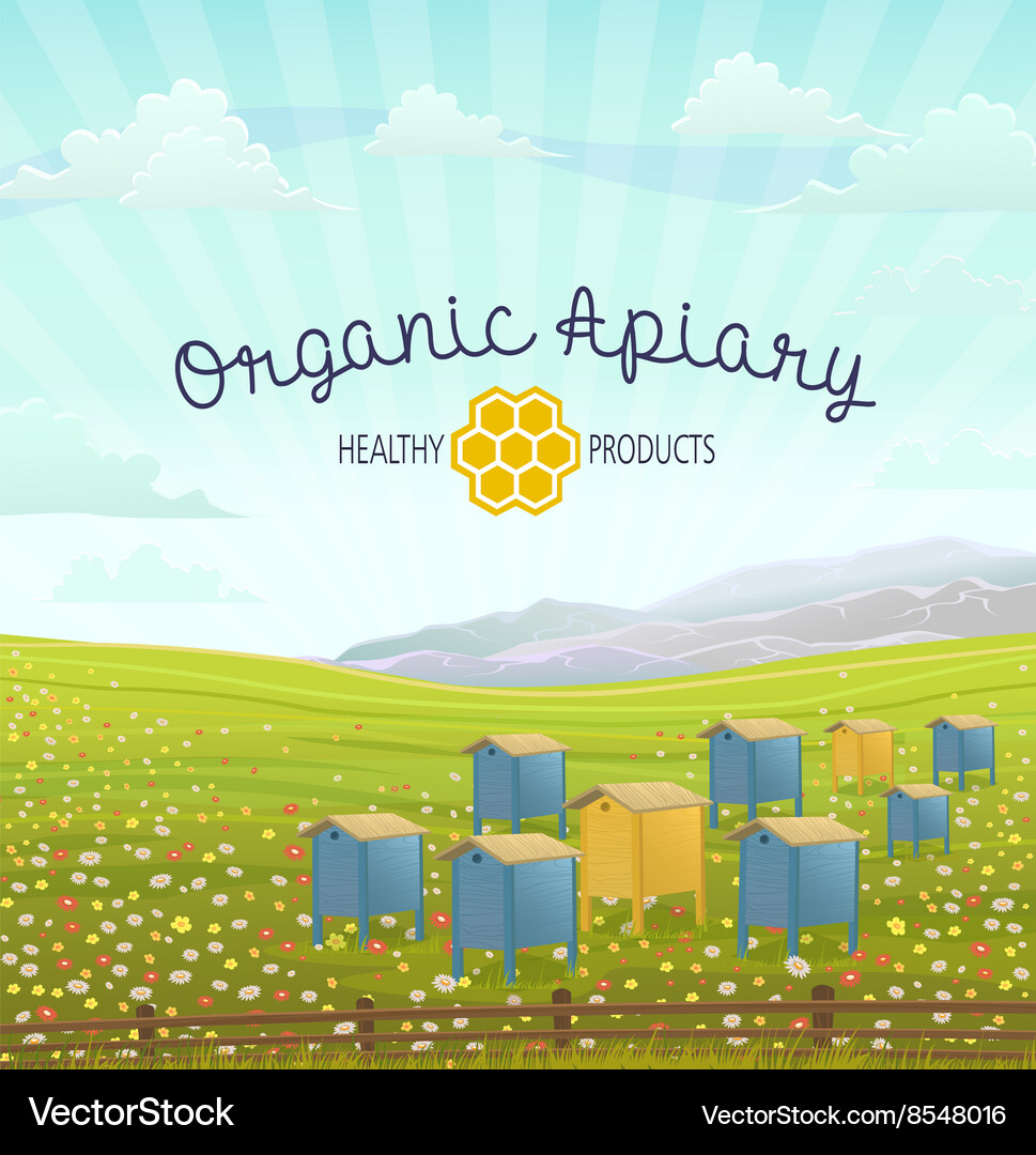 Apiary in alpine meadows mountains Honey Farm Vector Image