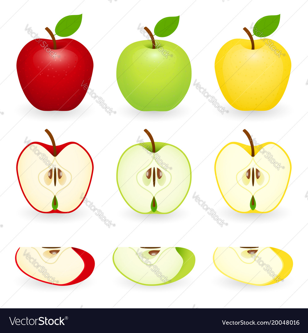 Apple slice set isolated Royalty Free Vector Image
