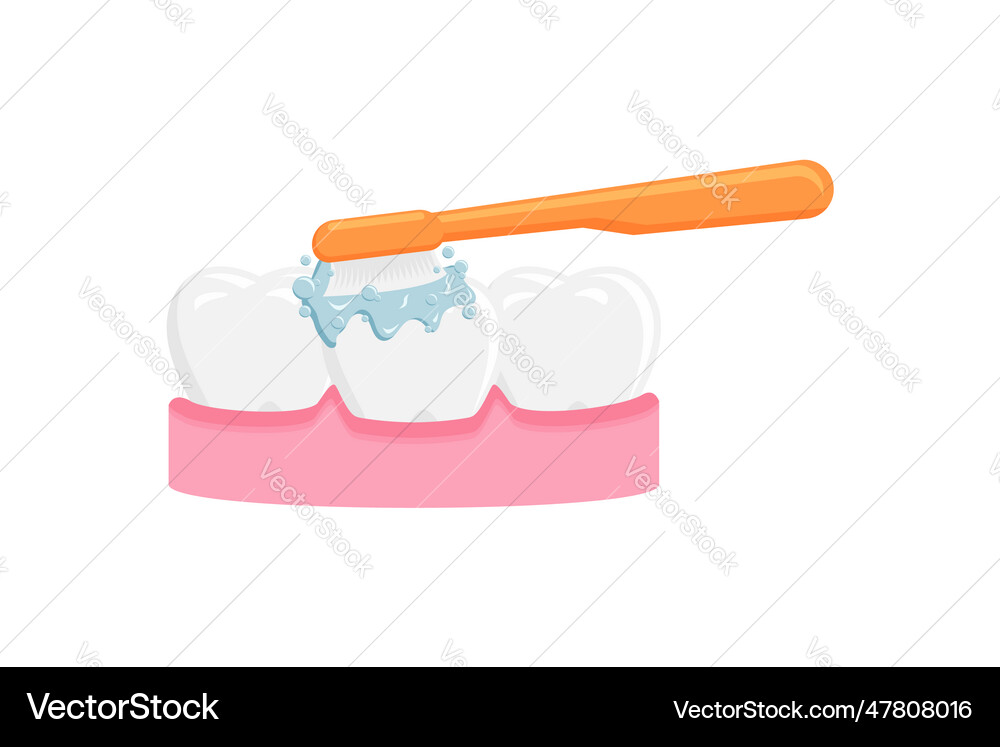 Brushing teeth teeth care icon sign symbol Vector Image