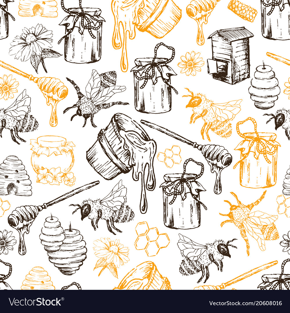 Honey bee seamless pattern sketch hand drawn Vector Image Honey bee seamless pattern sketch hand drawn Vector Image