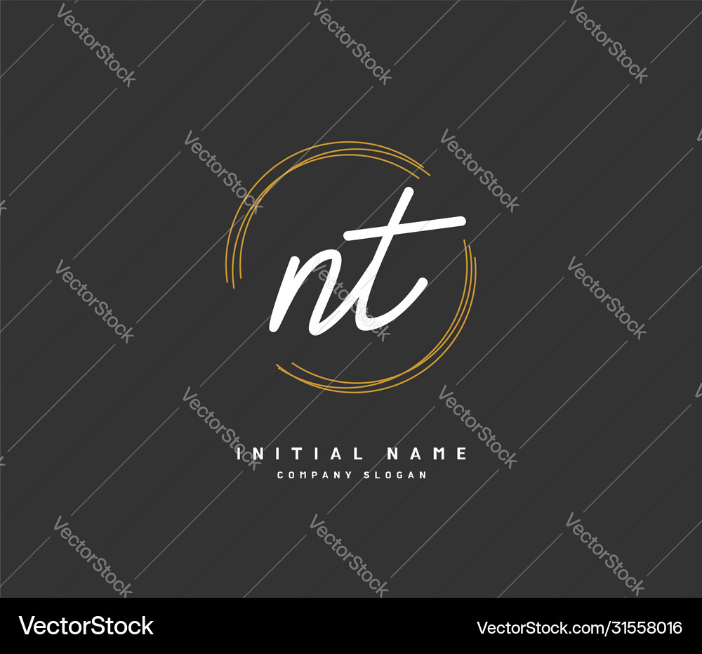 N t nt beauty initial logo handwriting Royalty Free Vector