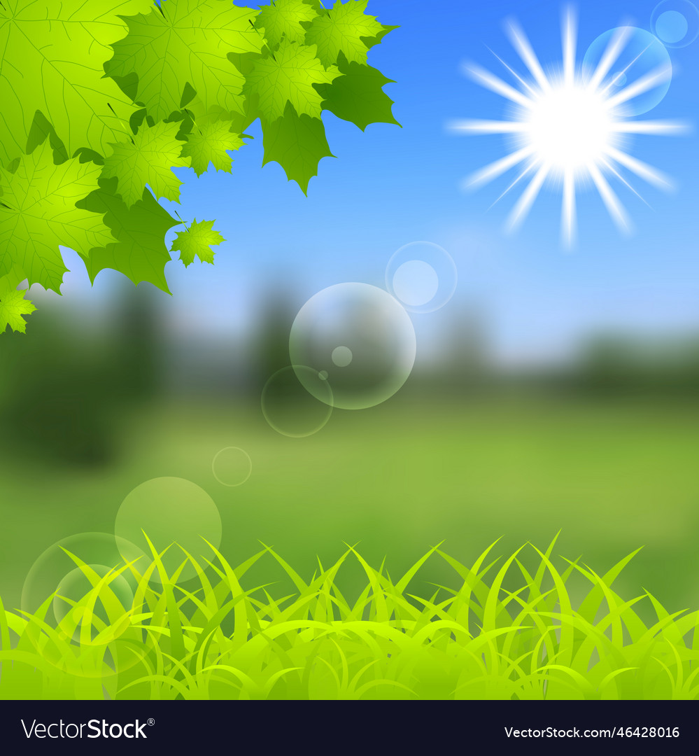 Spring and summer background gradient mesh Vector Image
