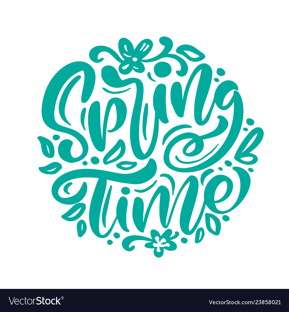 Calligraphy lettering phrase spring time Vector Image