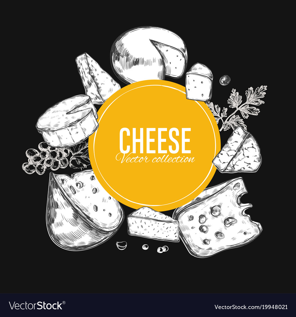 Cheese collection 4 Royalty Free Vector Image - VectorStock