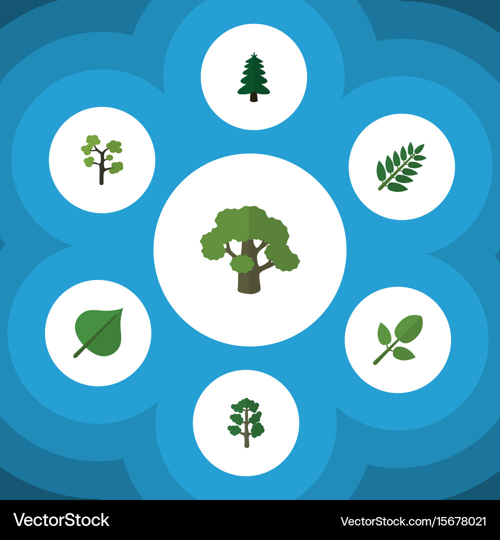 Flat icon nature set of acacia leaf tree foliage Vector Image