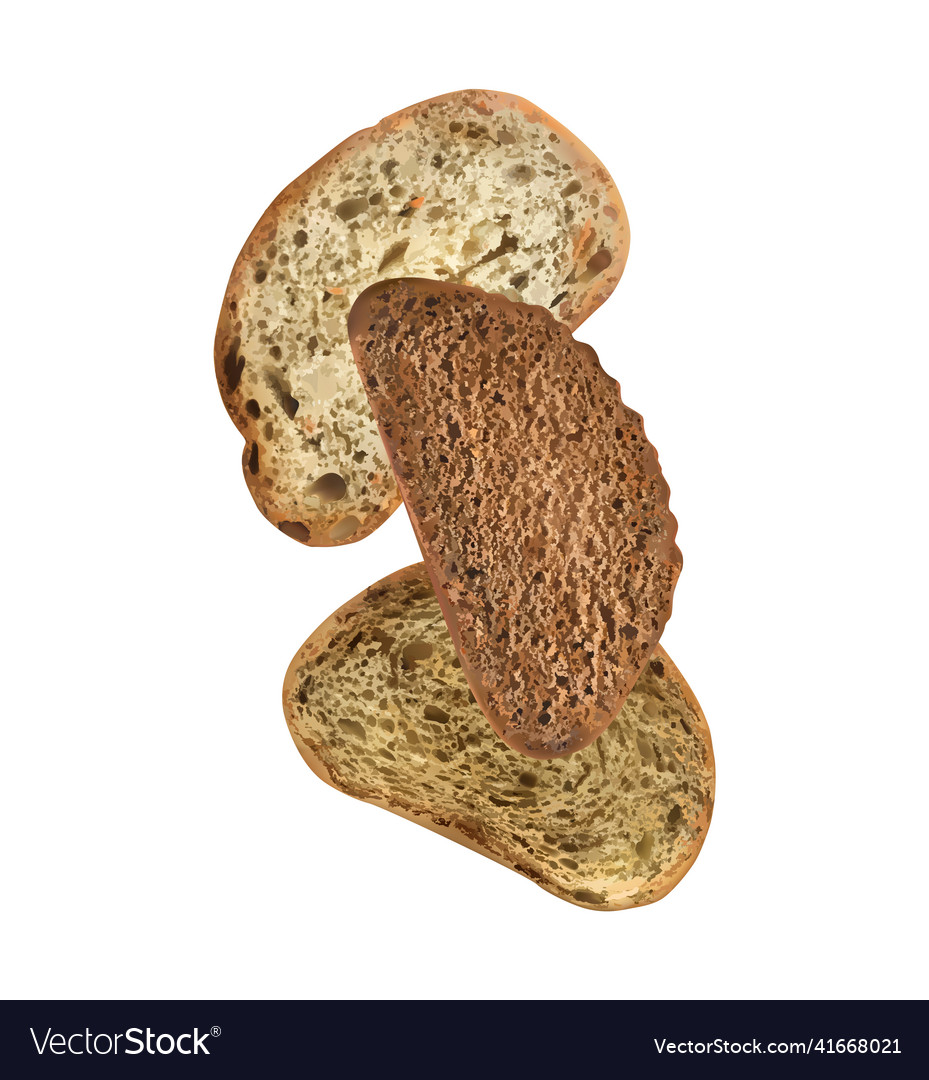 Realistic bread slices Royalty Free Vector Image