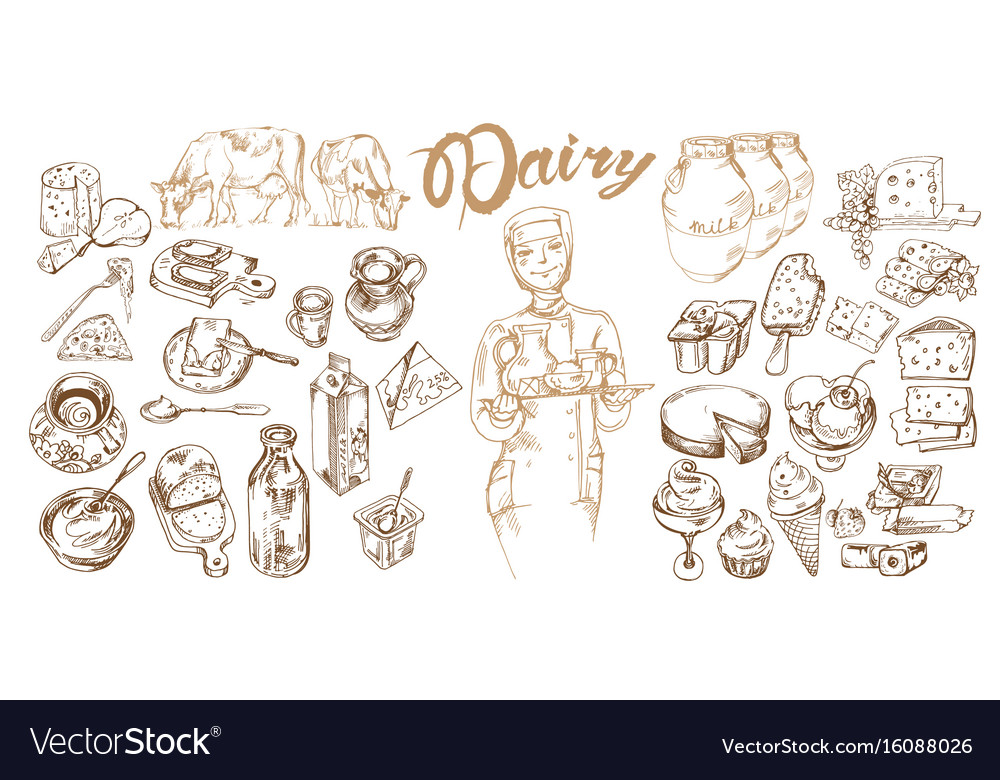 Hand Drawn Dairy Products Set Royalty Free Vector Image
