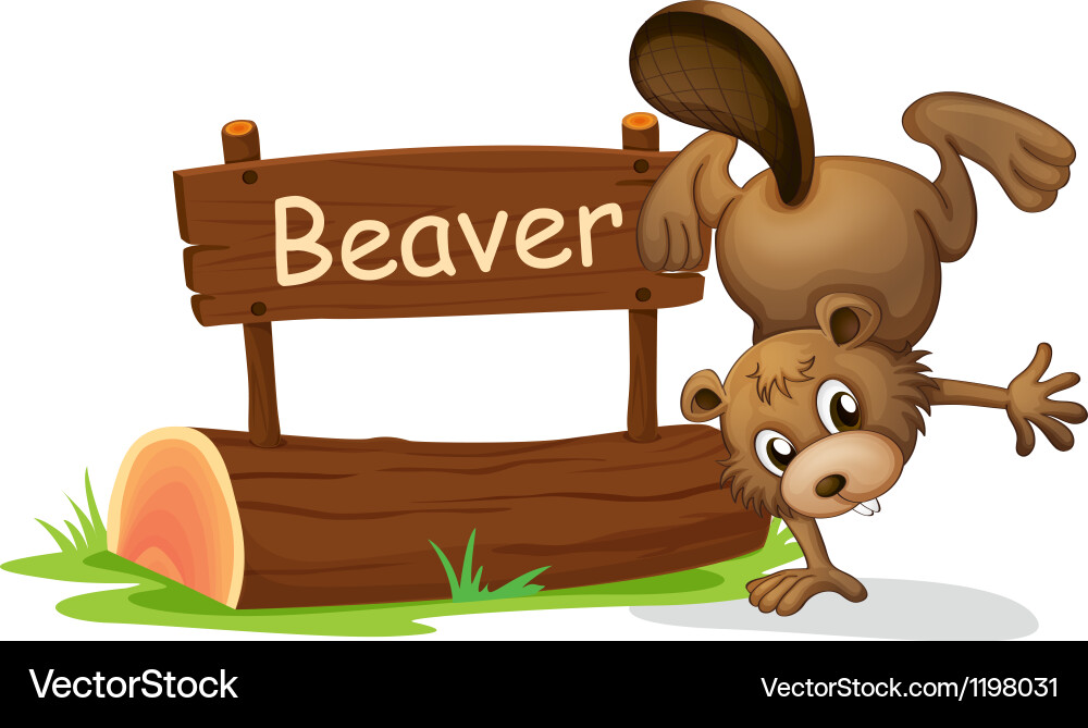 A beaver performing handstand beside signboard Vector Image